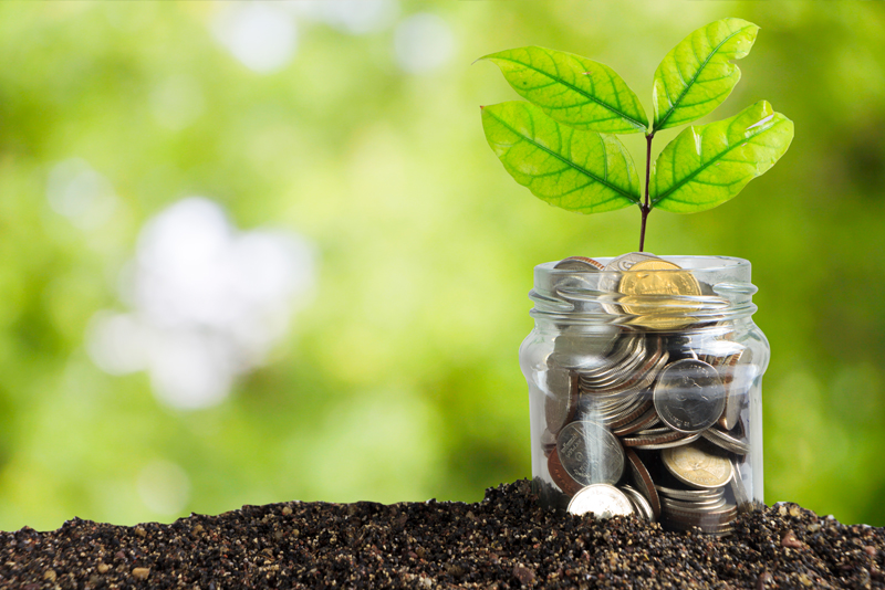 Watch Your Savings Bloom With A Free Mortgage Checkup! – AmeriHome Mortgage