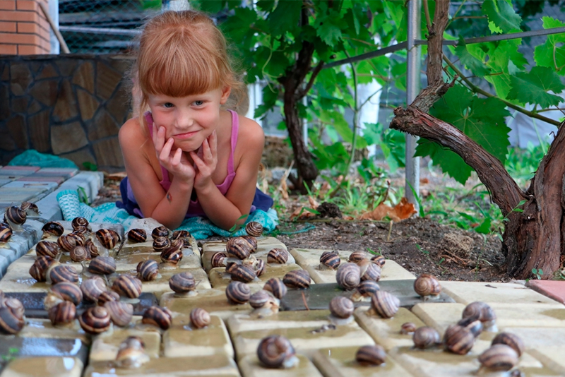 Lets snail down a time to chat about your great savings!* – AmeriHome ...